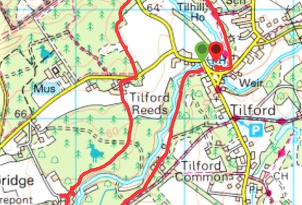 Tilford Morning Walk 20th February 2019 | Midhurst Footpath Companions
