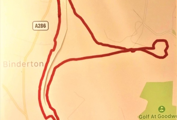 Trundle Day Walk 10th April 2019 | Midhurst Footpath Companions