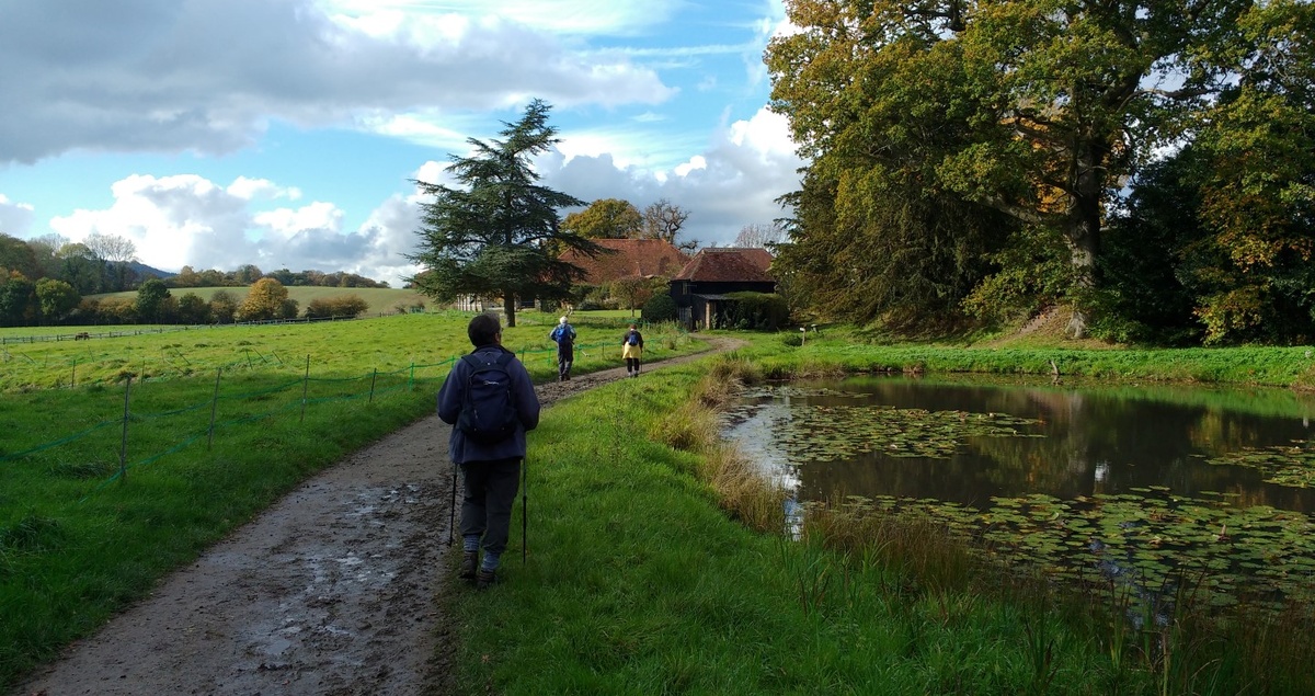 Home | Midhurst Footpath Companions